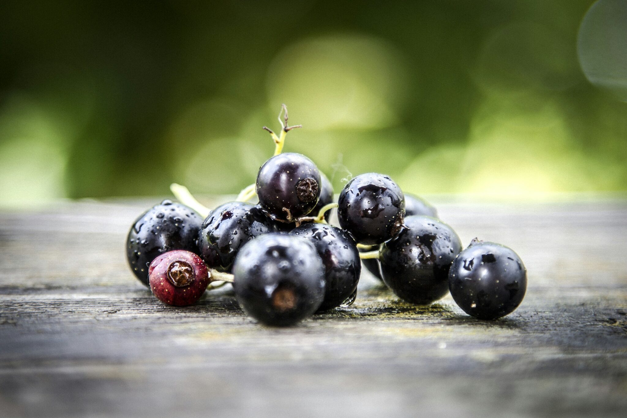 Vin de Coacăze Negre Licoarea Nămăeștiului Tradiții și Gust